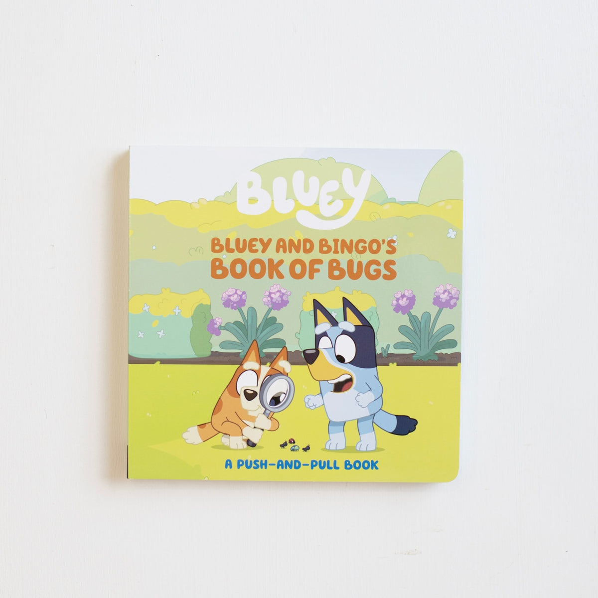 Bluey and Bingo's Book of Bugs – Khanh